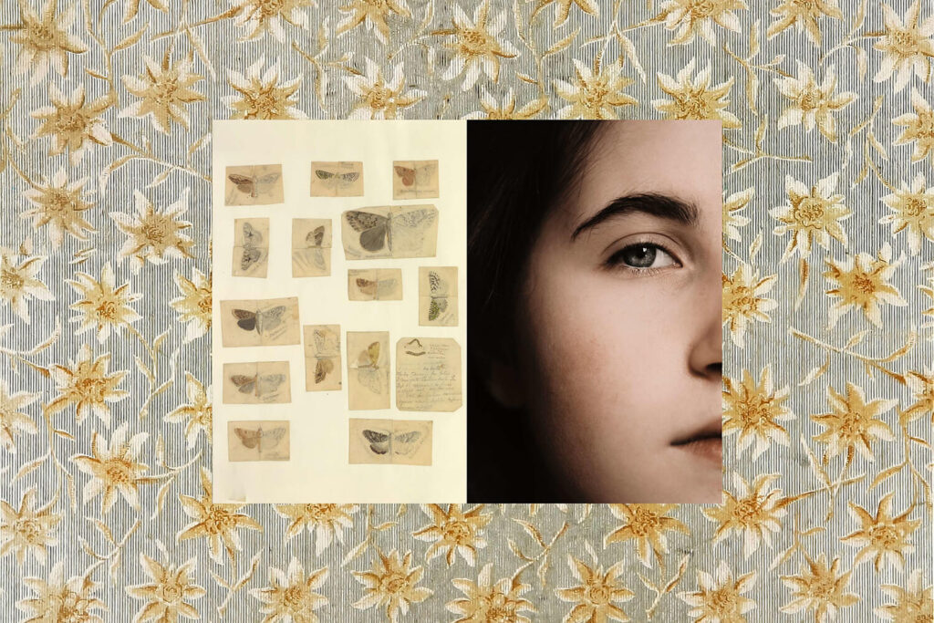 «ILARIA SAGARIA – CHRYSALIDES»