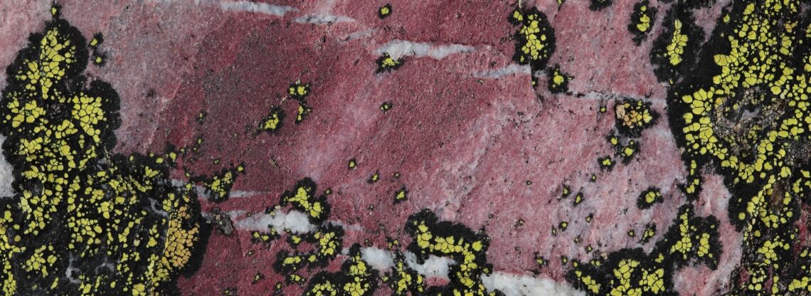 «EXPO FOCUS: OCÉAN AU SOMMET»