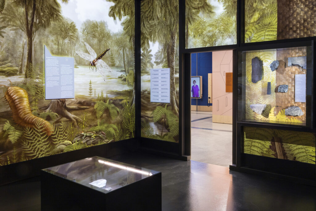 «MENSCH, ERDE! – DAS KLIMA IM WANDEL»: NEUE DAUERAUSSTELLUNG IN BERN