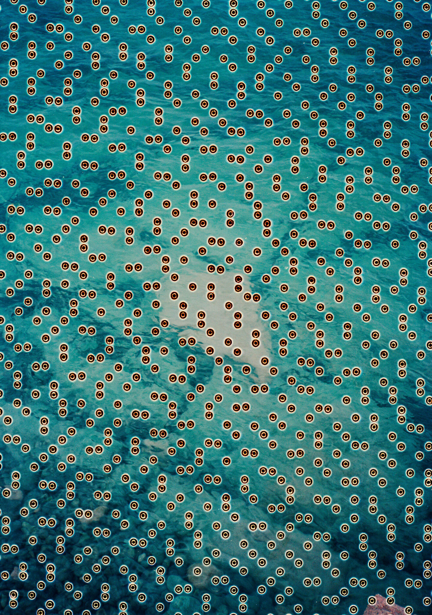 «ANDRIN WINTELER. FLOATING POINT»